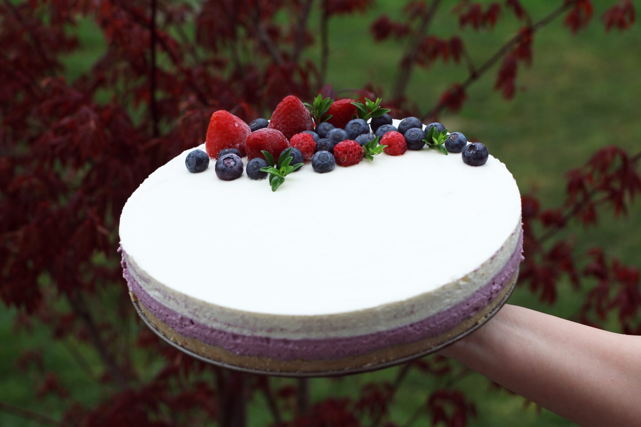 Cake Decorating Ideas: 10 Creative Ways To Design